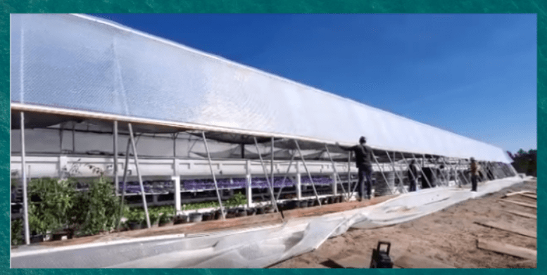 Greenhouse Plastic- SolaWrap Flims | Greenhouse Covers|