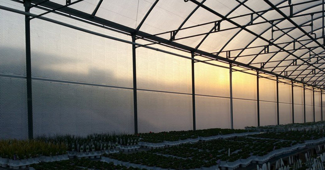 Why Solawrap? | SolaWrap Flims